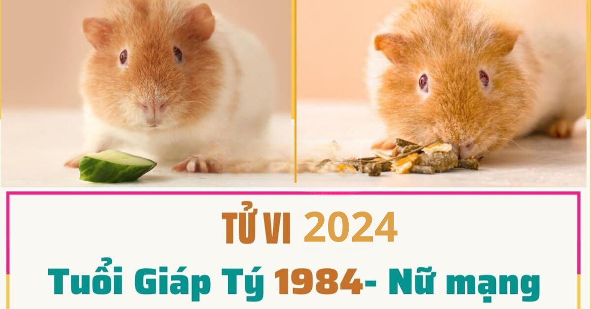 Luận giải tử vi tuổi Giáp Tý năm 2024 nữ mạng chi tiết nhất